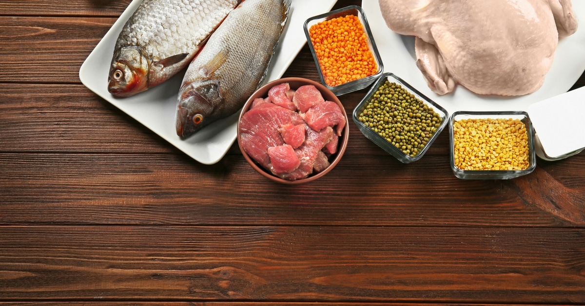 Why Protein is Important For Your Body | Masters Fitness